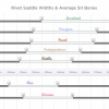 Which Saddle is Right for Me? | Rivet Cycle Works